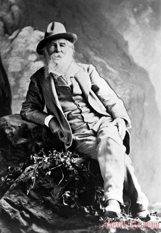 Others Walt Whitman (1819-1892) painting - Walt Whitman (1819-1892 ...